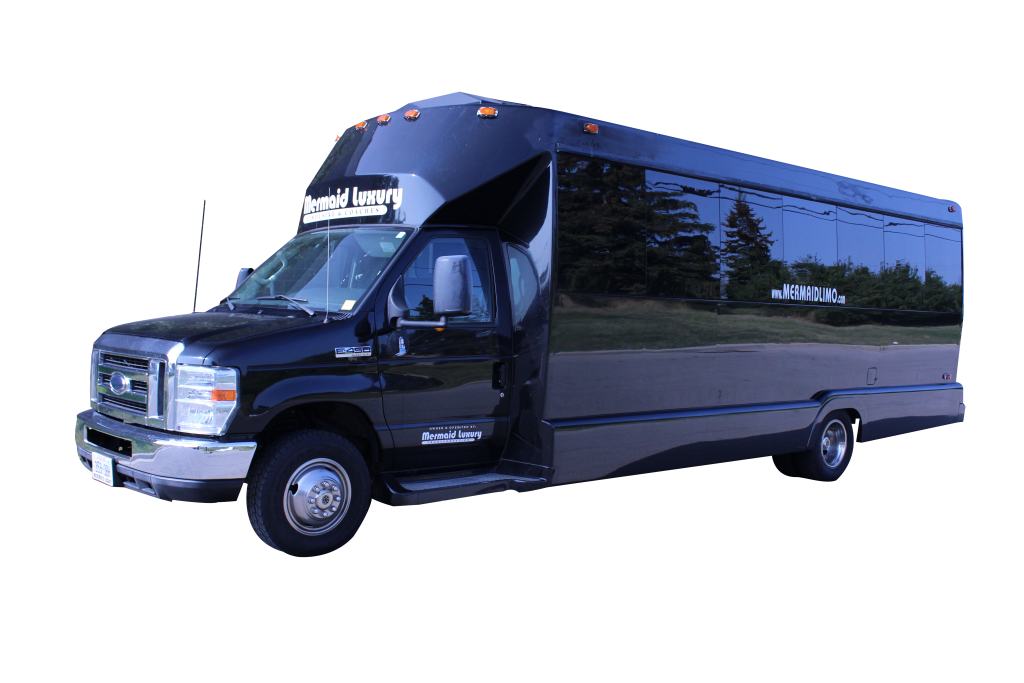 B15: 20 Passenger Party Bus - Mermaid Luxury